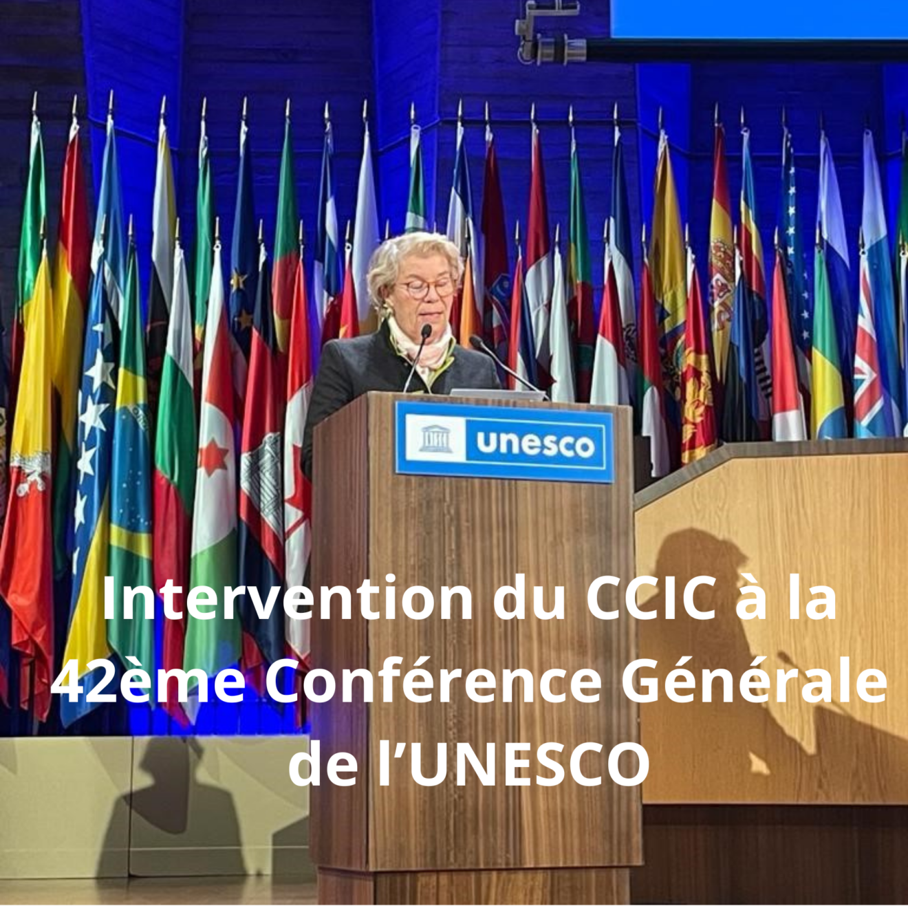 Intervention d’Isabelle Chaperon, présidente du CCIC au débat de ...